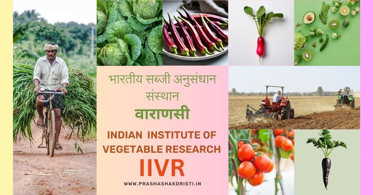 Indian Institute of Vegetable Research- 2024 - प्रशासक दृष्टि